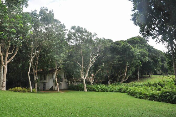 Bentota City Tour from Dikwella - Exploring the Itinerary in Detail