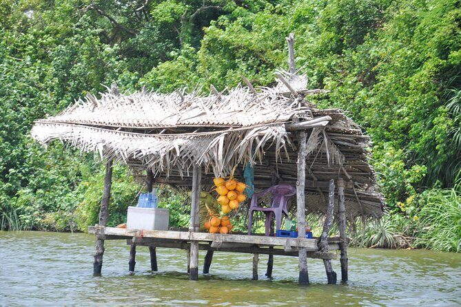 Bentota City Tour from Dikwella - The Sum Up: Who Will Love This Tour?