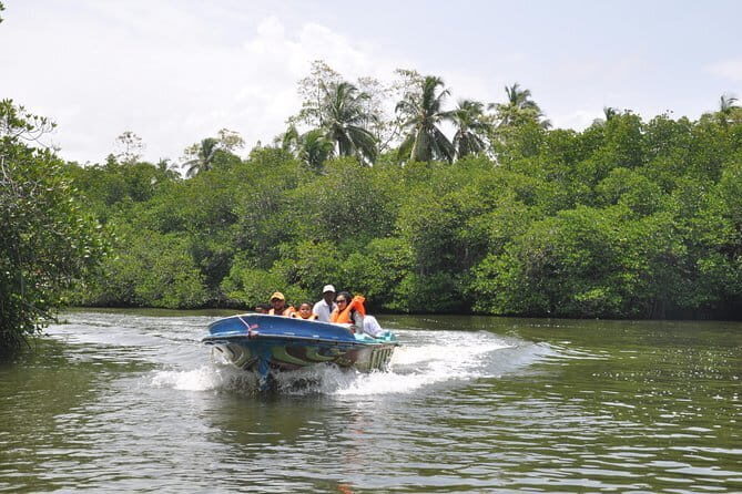 Bentota City Tour from Hikkaduwa - A Deep Dive into the Itinerary