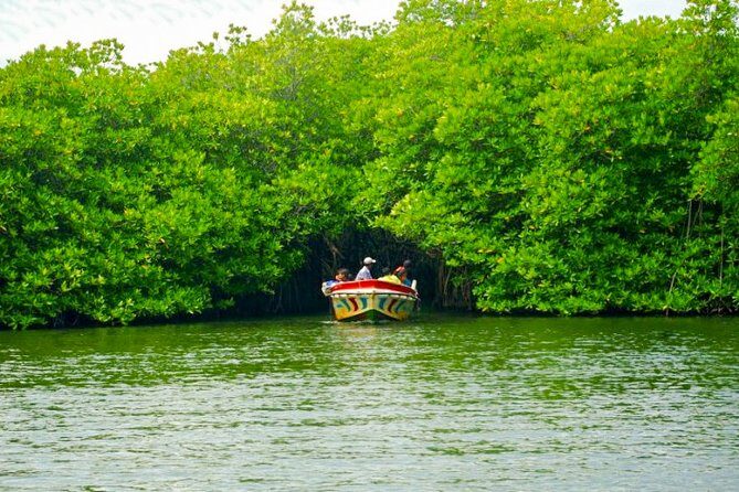 Bentota City Tour from Tangalle - The Itinerary in Detail: What to Expect