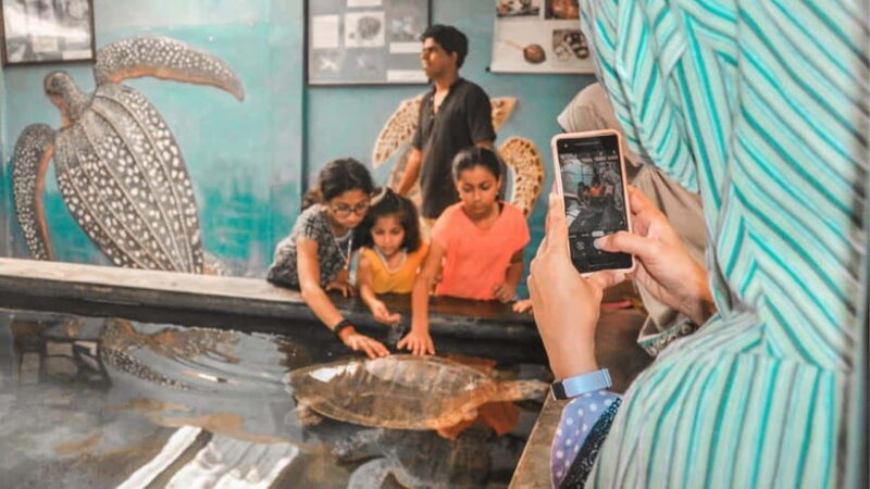 Bentota City Tour from Unawatuna - Key Points