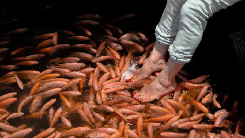 Bentota City Tour from Unawatuna - What to Expect: Practicalities That Matter