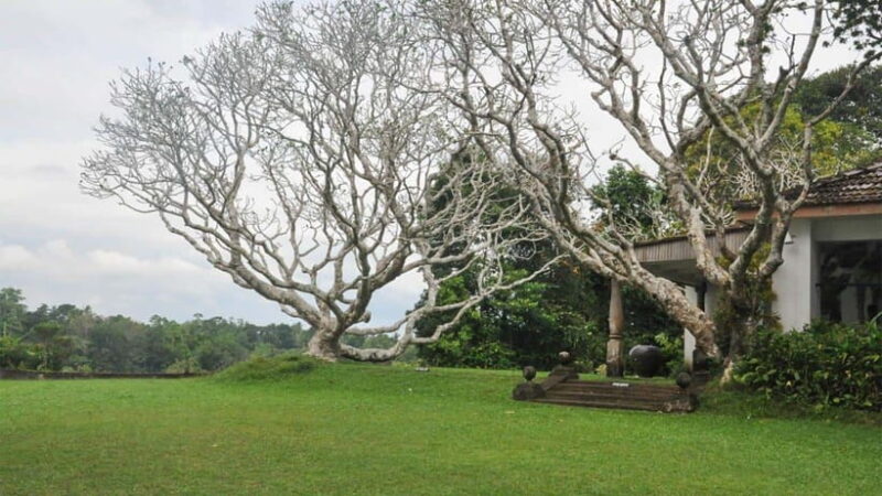 Bentota City Tour from Unawatuna - Who Would Enjoy This Tour?