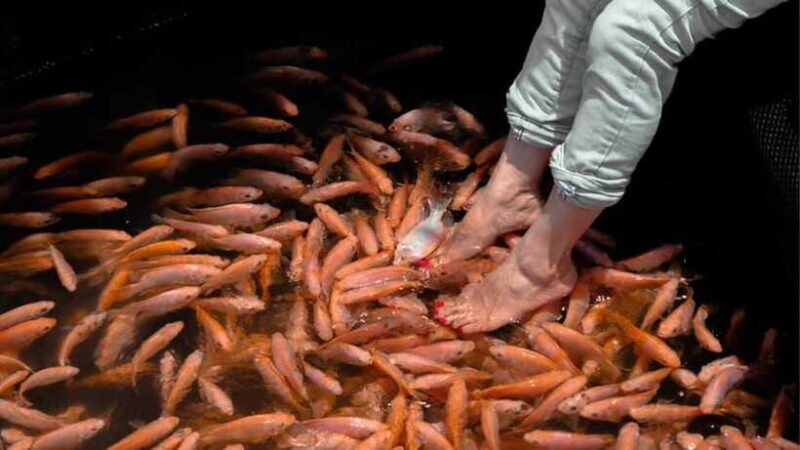 Bentota City Tour from Unawatuna - The Sum Up: A Well-Rounded Day Out