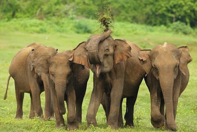 Bentota City Tour from Weligama - Who Will Love This Tour?