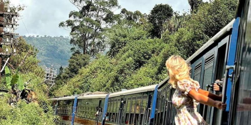 Bentota: Ella Day Trip with Train Ride and Waterfall Visit - What to Expect on the Tour