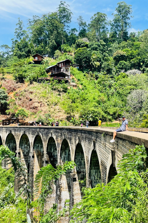 Bentota: Ella Day Trip with Train Ride and Waterfall Visit - Who Is This Tour Best For?