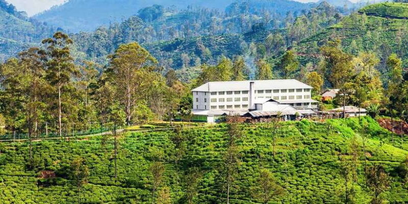 Bentota/Kalutara/Hikkaduwa: Day Trip to Ella Highlands - FAQ