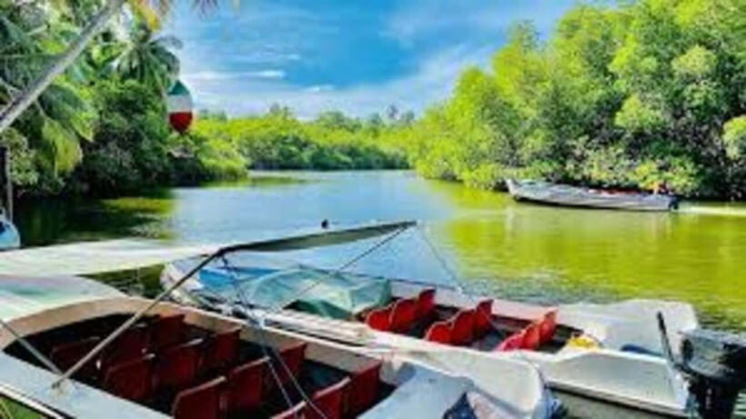 Bentota Private Village Tour All-Inclusive - An In-Depth Look at Bentota’s Private Village Tour