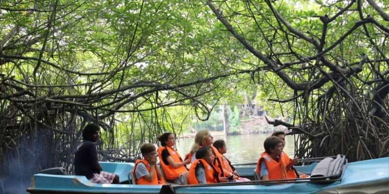 Bentota River Safari -Ahungalla/Bentota/Aluthgama/Kosgoda - Exploring the Bentota River Safari: A Practical Guide for Curious Travelers