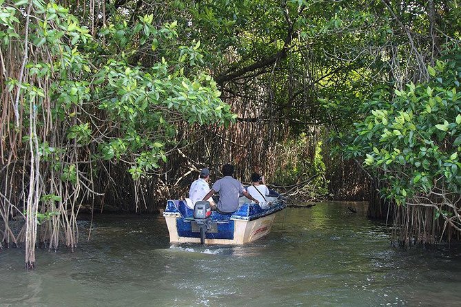 Bentota River Safari By BTM (Mangrove & Wildlife Encounter) - Who Should Consider This Tour?