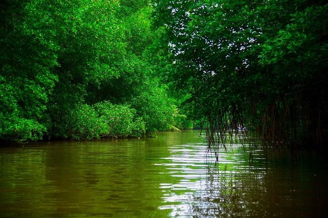 Bentota River Safari By BTM (Mangrove & Wildlife Encounter) - FAQ