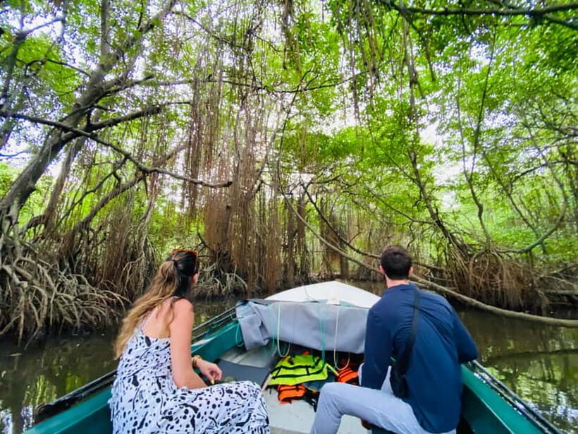 Bentota River Safari: Discover Wildlife & Mangroves by Boat - FAQ
