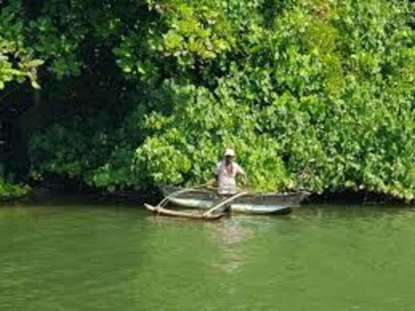 Bentota: River Safari with Hotel Pickup and Drop-Off - An in-depth look at the Bentota River Safari