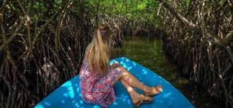 Bentota: River Safari with Hotel Pickup and Drop-Off - Who Will Love This Tour?