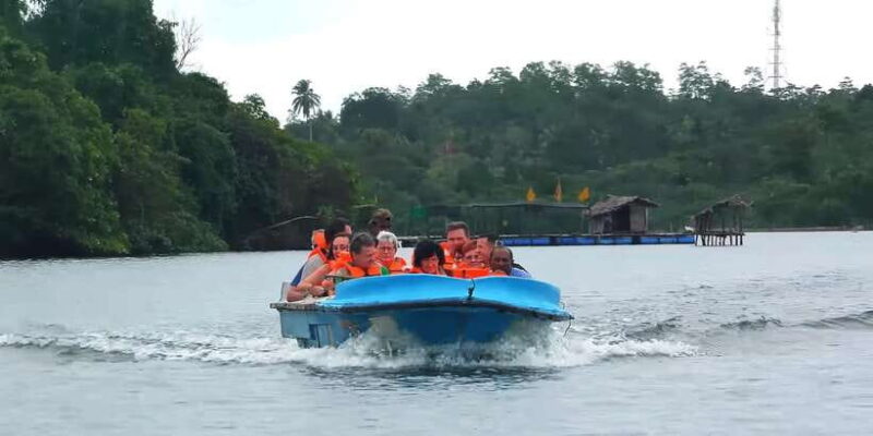 Bentota: swampboat Ride Through Mangrove Forest - The Itinerary: What You’ll Experience