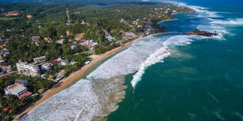 Bentota: swampboat Ride Through Mangrove Forest - Practical Considerations and Tips