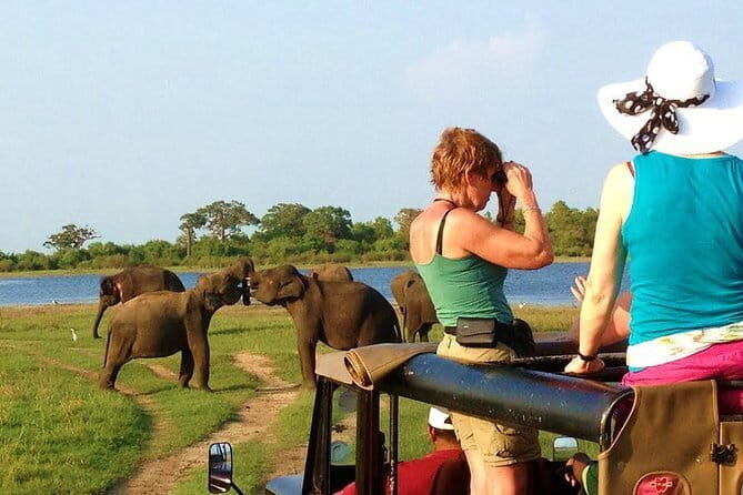 Bentota Tuk Tuk Safari - The Sum Up: Who Will Love This Experience?