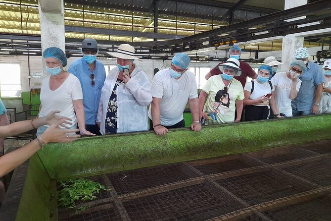 Bentota Village Tour with River Safari & Tea Plantation/Factory - All Inclusive - The Practicalities