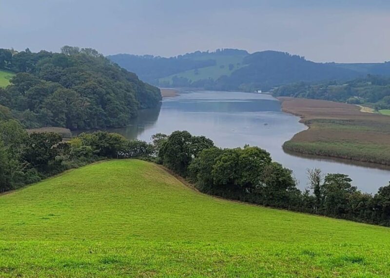 Bere Alston: Guided Walk to Bere Ferrers - The Practicalities: Price, Booking, and Tips