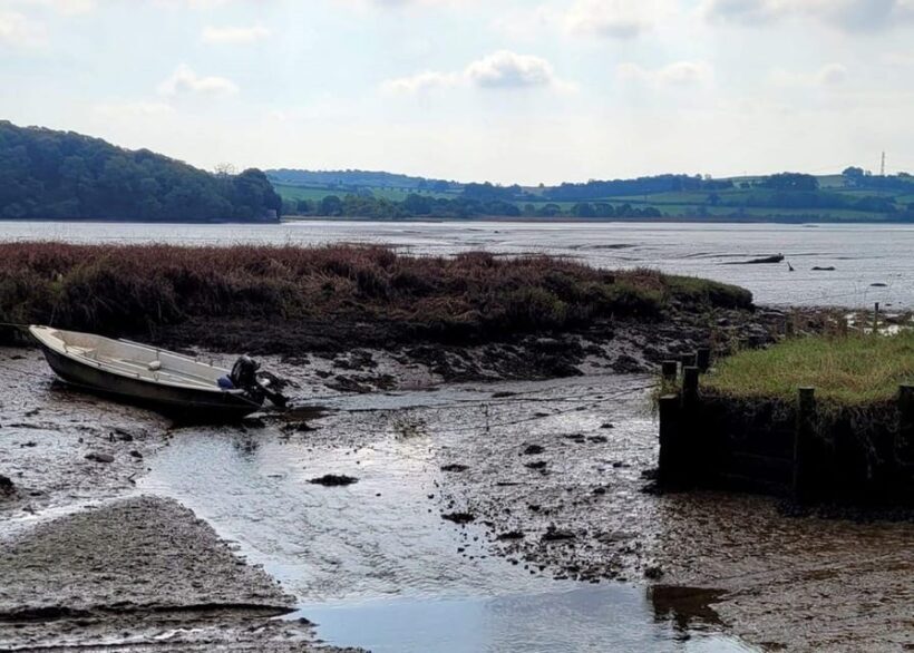 Bere Ferrers: Guided Walk to Tamerton Foliot - Why You Should Consider Booking This Tour