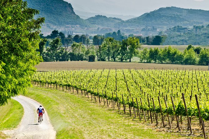 Bergamo and Franciacorta with lunch and cellar visit - Key Points