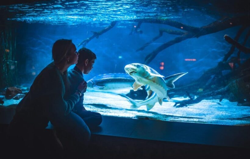 Bergen: Bergen Aquarium Entry Ticket - Key Points