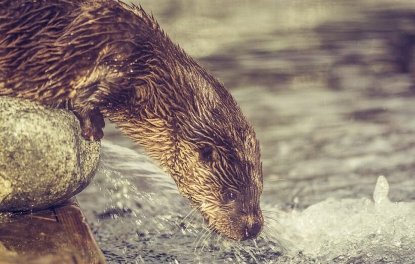 Bergen: Bergen Aquarium Entry Ticket - What to Expect at the Bergen Aquarium