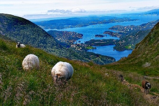 Bergen Classic Private hiking - The Sum Up: Is This the Right Trek for You?