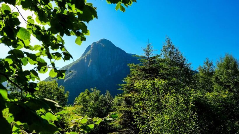 Bergen: Cruise to beautiful Rosendal by the Hardangerfjord - FAQ