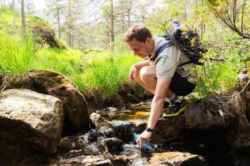 Bergen: Fjord cruise to Mostraumen and guided mountain hike - The Sum Up