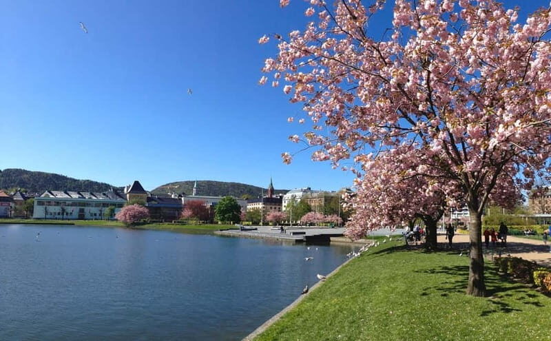 Bergen: Flam Railway, Stegastein and Fjord Cruise Day Tour - FAQ