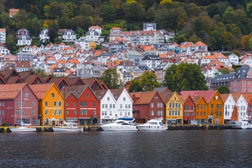 Bergen: Flam Railway, Stegastein View Point and Fjord Cruise - Who Will Love This Tour?