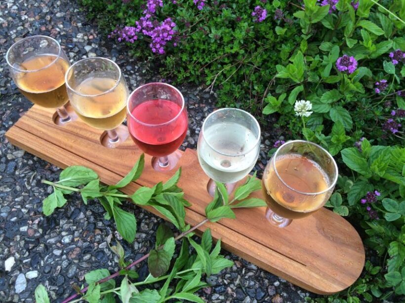 Bergen: Guided Fjord & Cidery Tour to Balestrand - Final Thoughts