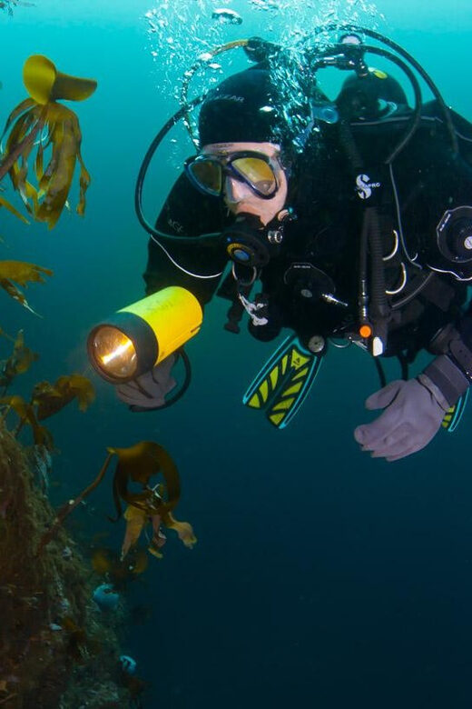 Bergen: Guided Scuba Diving - FAQ