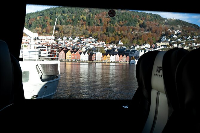 Bergen: Guided Tour by Minibus With Local Guide & Photostops - Traveler Feedback and Experiences