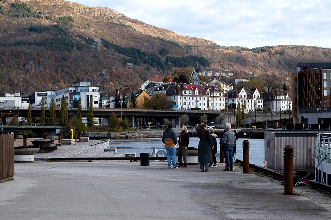 Bergen: Guided Tour by Minibus With Local Guide & Photostops - Photo Opportunities Along the Way