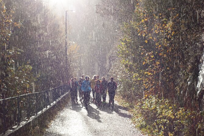 Bergen Like a Local: Customized Private Tour - Customizing Your Private Walking Adventure