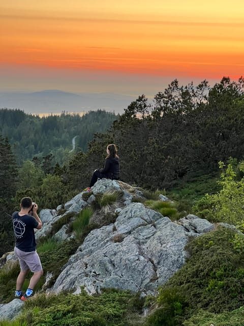 Bergen Magical Nature Tour | ViFlowExperience - Exploring Bergen’s Natural Charm: A Deep Dive into the Bergen Magical Nature Tour