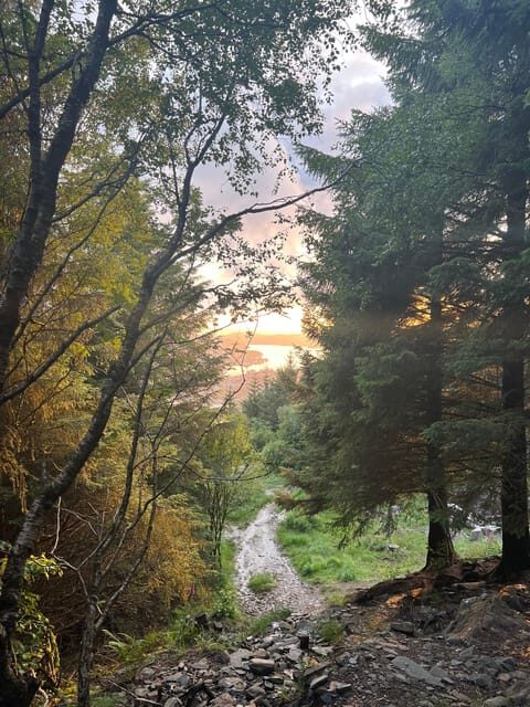 Bergen Magical Nature Tour | ViFlowExperience - Final Thoughts: Who Will Love This Tour?