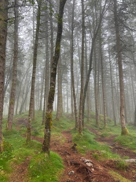 Bergen Magical Nature Tour | ViFlowExperience - FAQs
