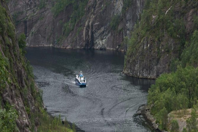Bergen: Mostraumen Fjord Cruise - Customer Feedback and Ratings