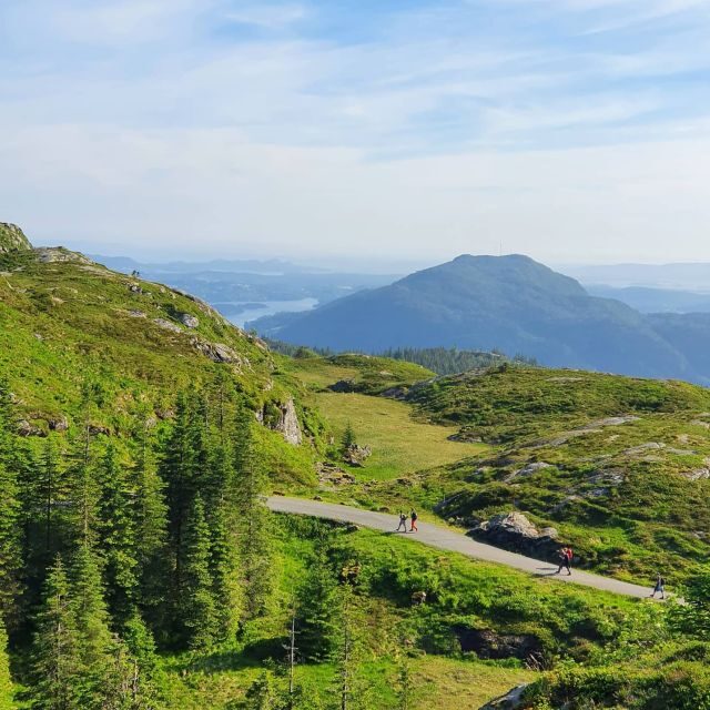 Bergen: Mountain hike on top of Bergen - Public tour - Key Points