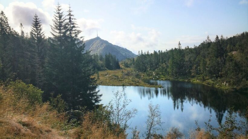 Bergen: Mountain hike on top of Bergen - Public tour - The Practical Side: Logistics, Duration, and Value