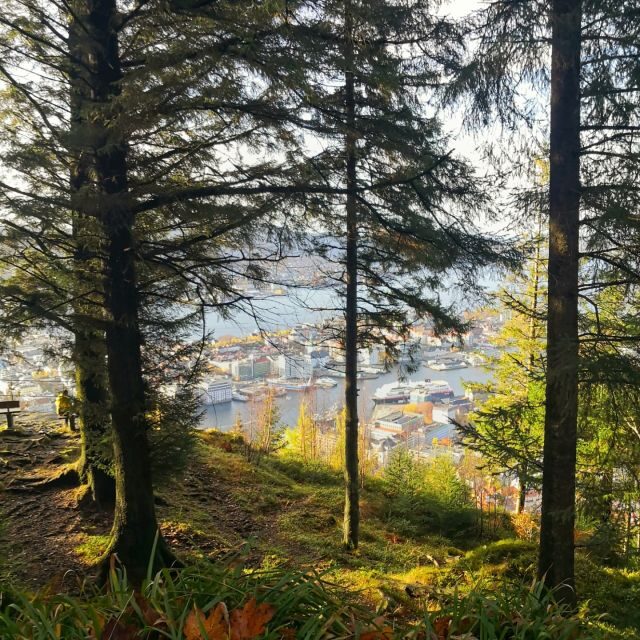 Bergen: Mountain hike on top of Bergen - Public tour - Final Thoughts