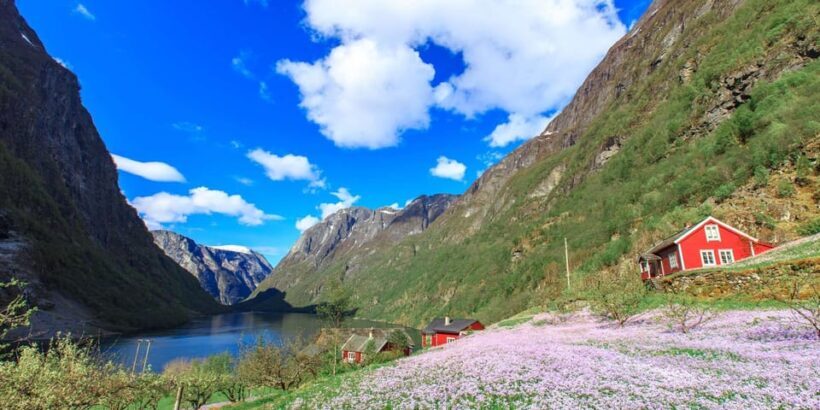 Bergen: Nærøyfjorden, Flåm, and Stegastein Guided Bus Tour - Key Points