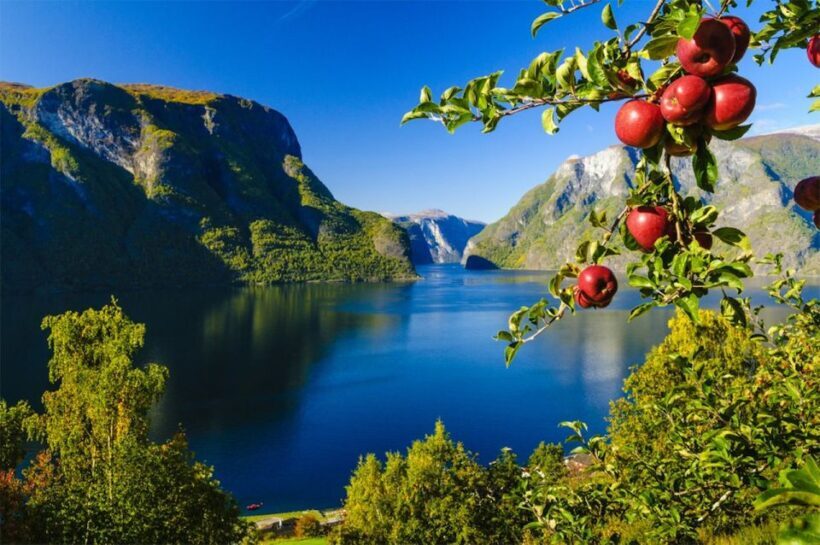 Bergen: Private Day Tour, Nærøyfjord Cruise and Flåm Railway - Authentic Reviews and Insights