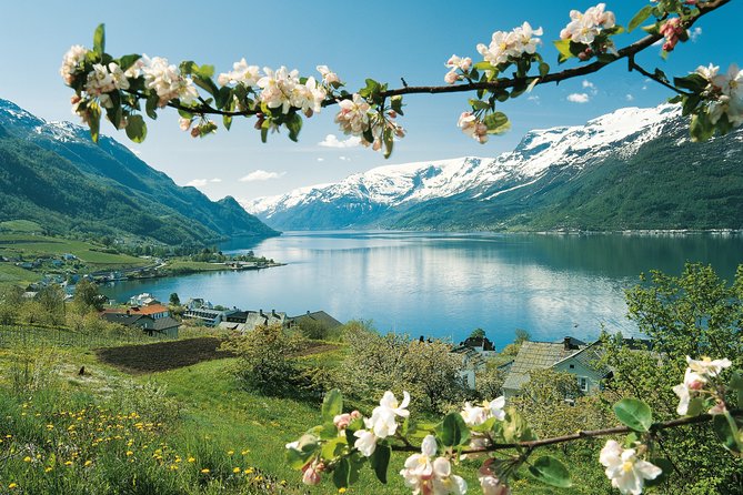 Bergen: Private Full-Day Roundtrip to Hardangerfjord With Cruise - Scenic Highlights of Highway 7