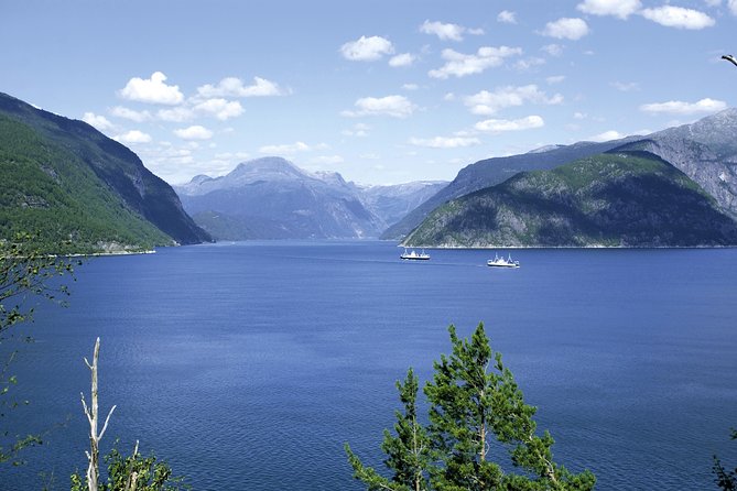 Bergen: Private Full-Day Roundtrip to Hardangerfjord With Cruise - Hardangervidda Nature Centre Experience