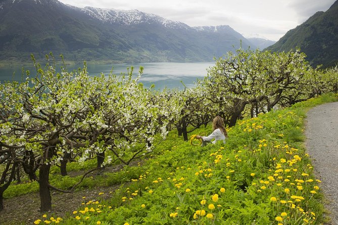 Bergen: Private Full-Day Roundtrip to Hardangerfjord With Cruise - Dining on Norwegian Cuisine